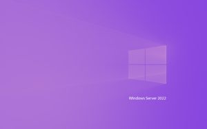 Windows Server 2022 Wallpaper
